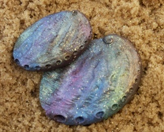 Kiwi Cakes: How I colour my paua shells