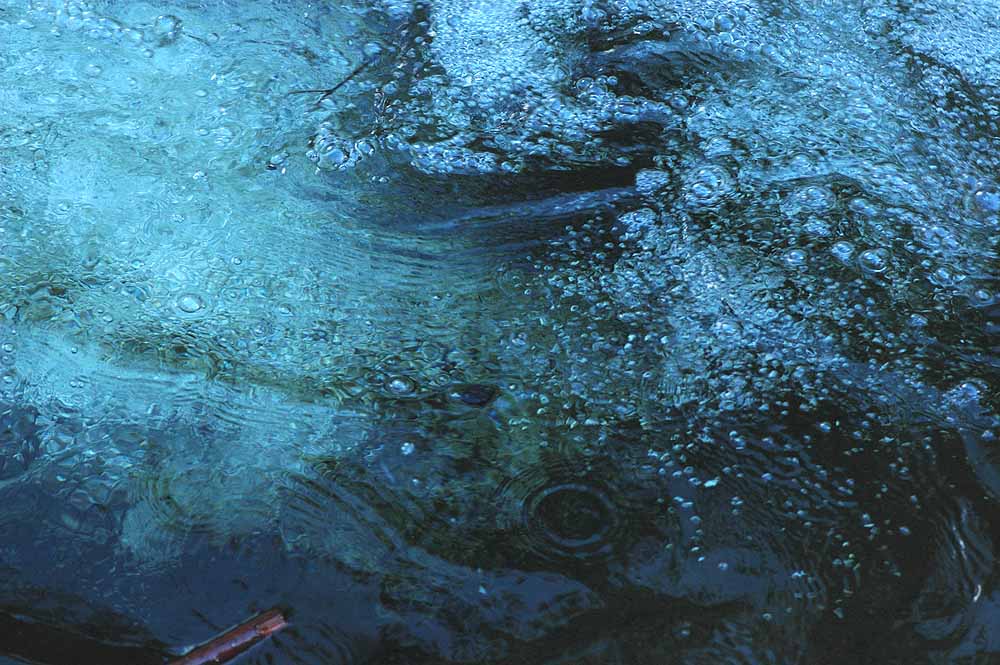 The Nature of Robertson: Photos from Bermagui weekend