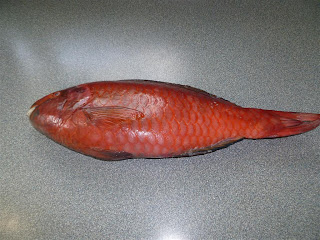 Guam Firehouse Cook: 5/15/11 - 5/22/11