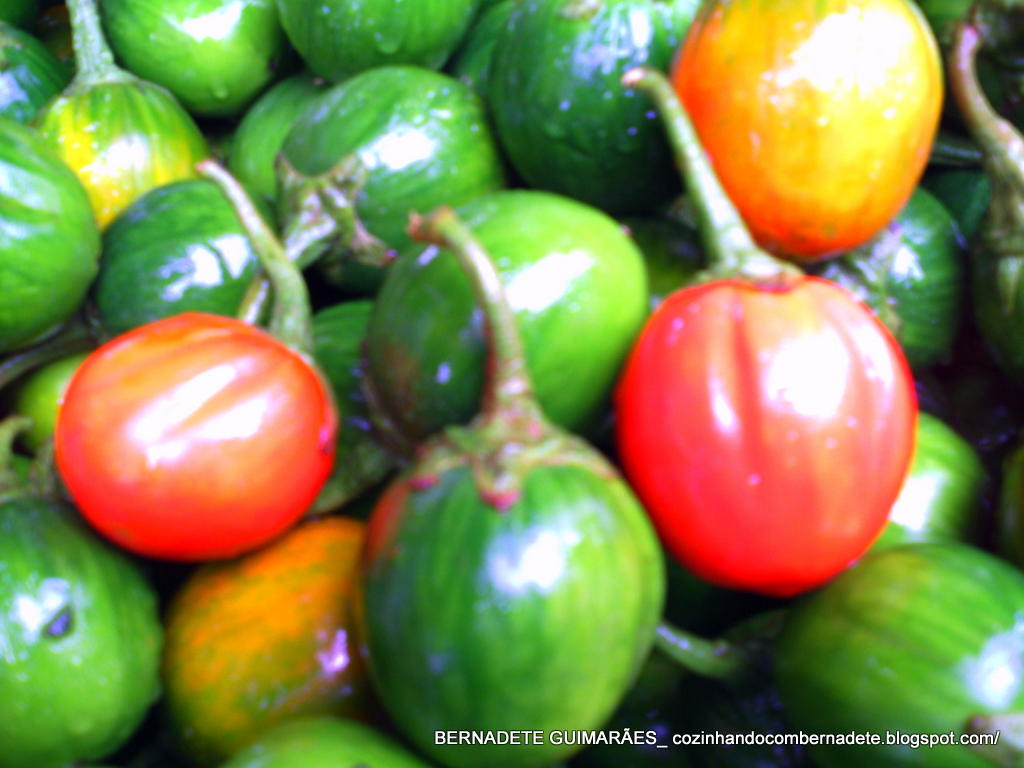 Cozinhando com Bernadete: JILÓ