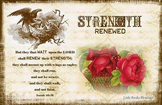Little Birdie Blessings : Strength Renewed