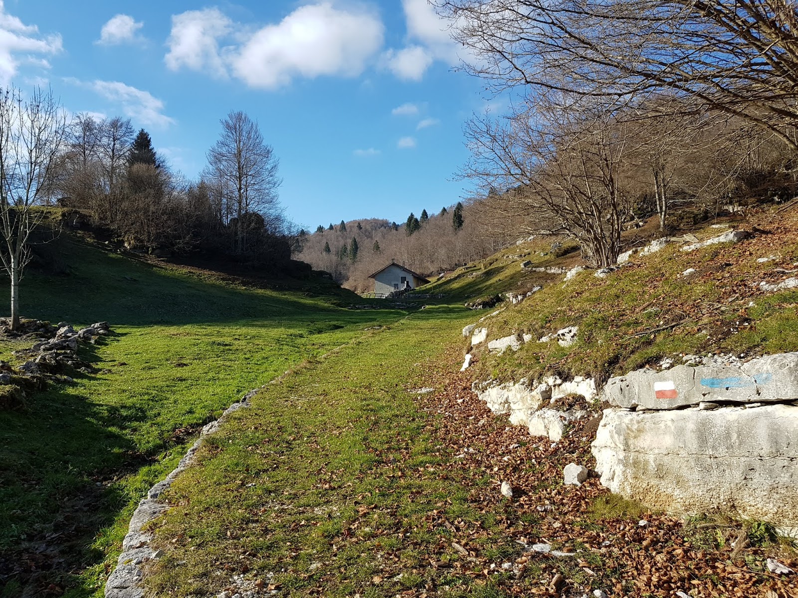 Su strade e sentieri: COL D'ASTIAGO (m. 1.241) - SENTIERO DEL VU - Val ...
