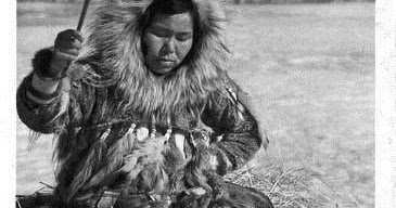 Crónicas de la Tierra sin Mal : Los Esquimales distinguen más de 30 ...