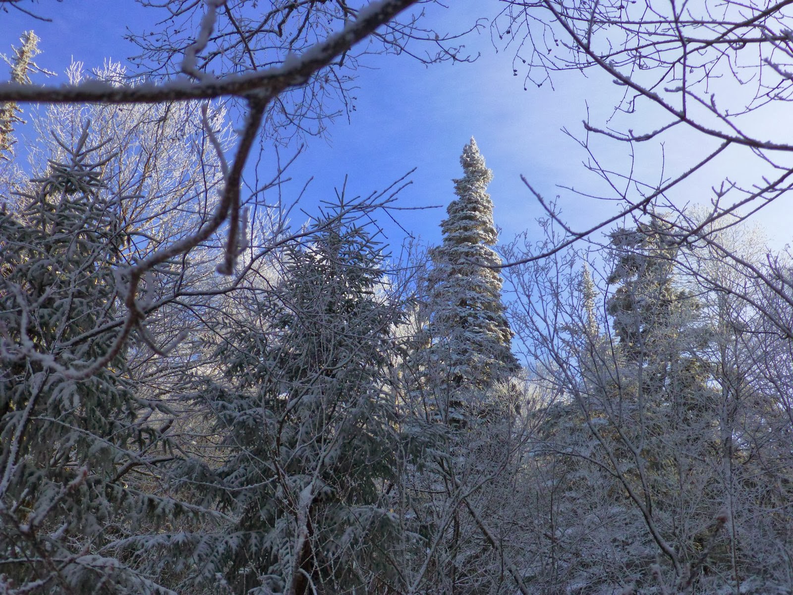 Off on Adventure: Morgan Mountain & Cooper Kiln Pond - Taylor Pond Wild ...