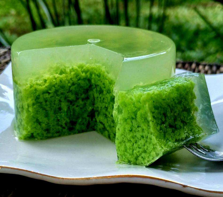 Resep Puding Lumut Pandan Hijau Santan | Bahan Bumbu Aneka Resep ... Resep Puding Lumut Pandan Hijau Santan | Bahan Bumbu Aneka Resep ...