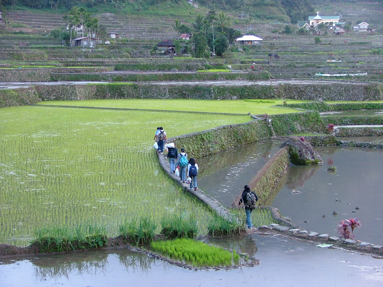 Hapao Rice Terraces