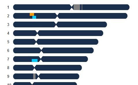 AK'S Genealogy Research: Autosomal DNA What does cM stand for? Plus my ...