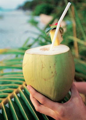 ALIMENTE-SE COM SABEDORIA!: COCO: ENTRE AS FRUTAS MAIS CONSUMIDAS NO ...