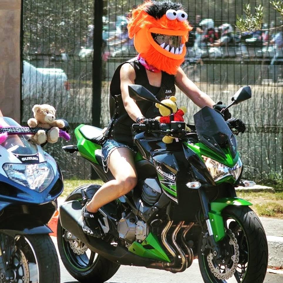 Animal Muppet Motorcycle Helmet | Reviewmotors.co