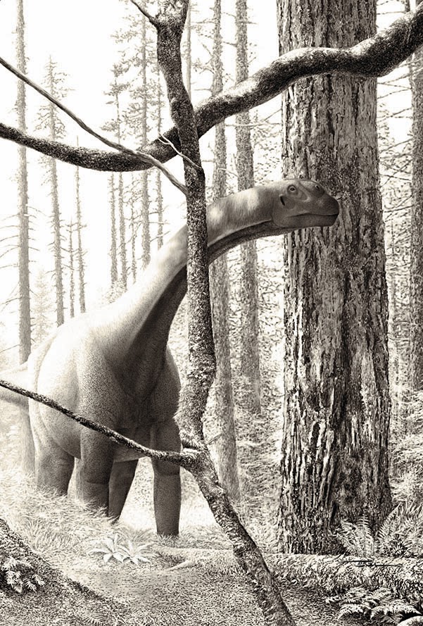 SOCIEDADE DE HISTÓRIA NATURAL: Portuguese and Spanish researchers from ...