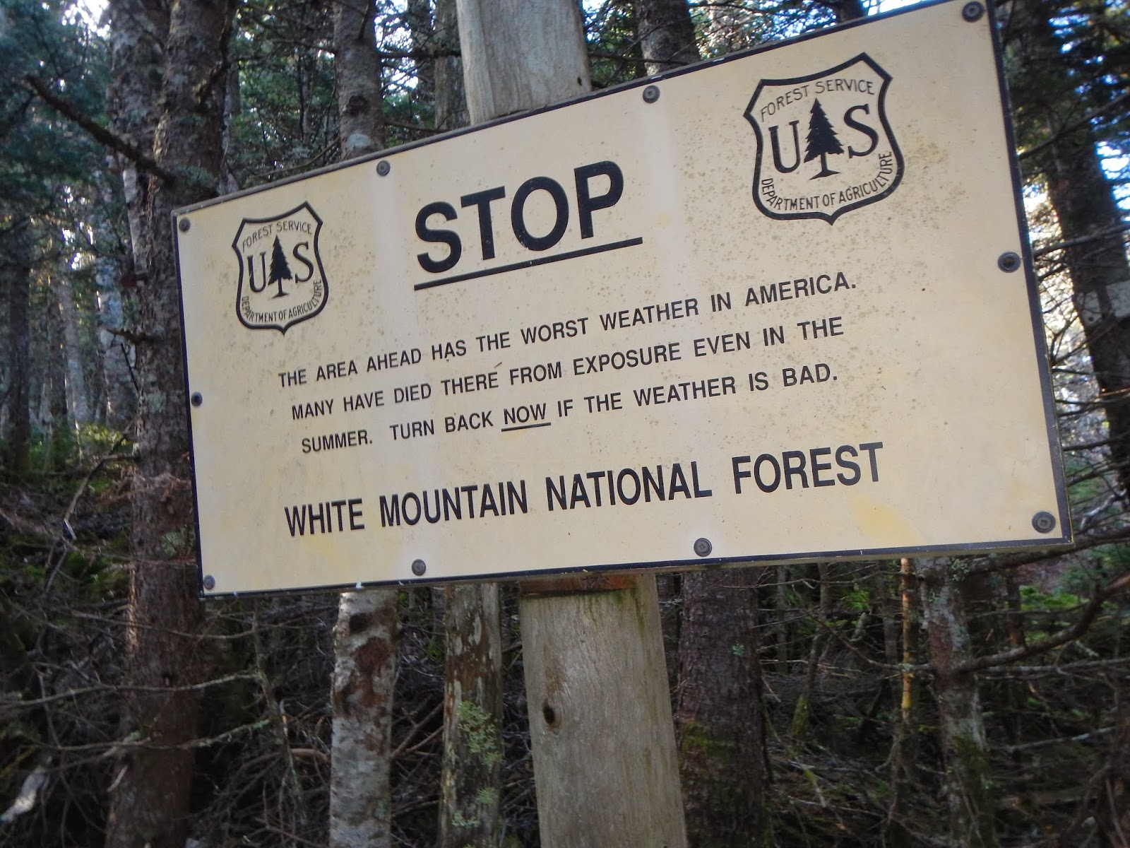 Hitting the Trails: 11/02/2013 Mount Madison - Mount Adams
