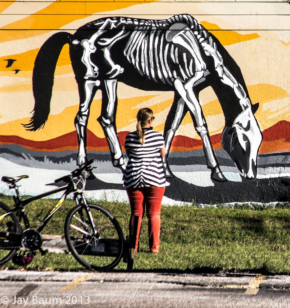 366 Project. Jay Baum. Photography.