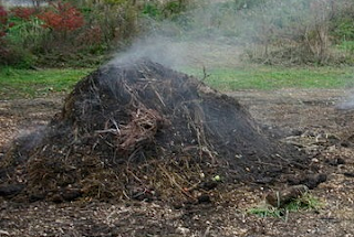 The PennWell Community Garden Blog: Weird Stuff You Can Compost