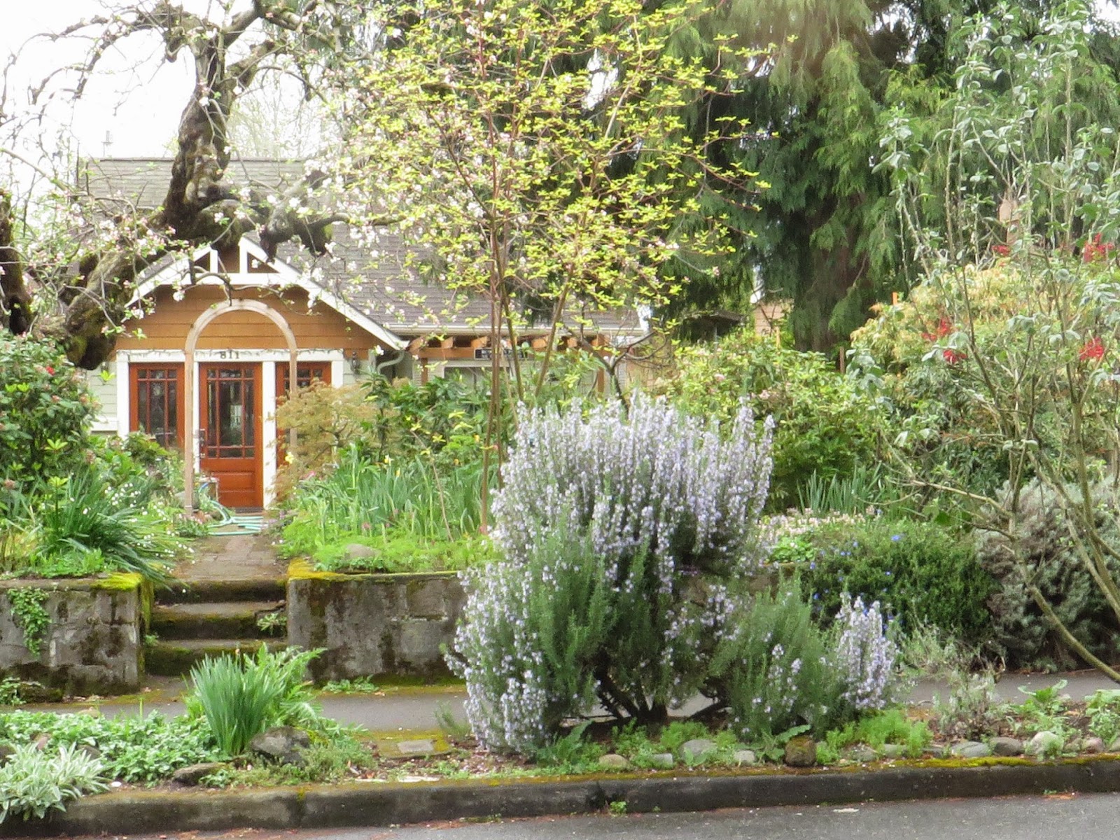 Neighborhood Gardens of Portland Part IV: Springtime Edition