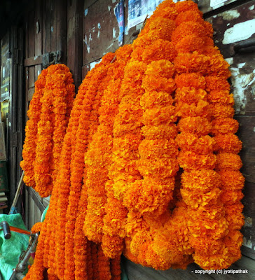 Taste of Nepal: 2016 - Happy Deepawali-Tihar-Bhai Tika