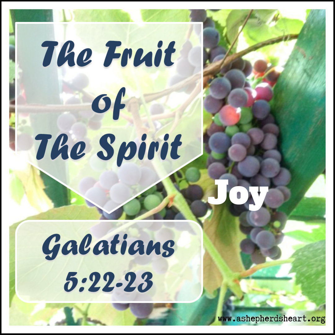 A Shepherd's Heart: The Fruit of The Spirit - Joy
