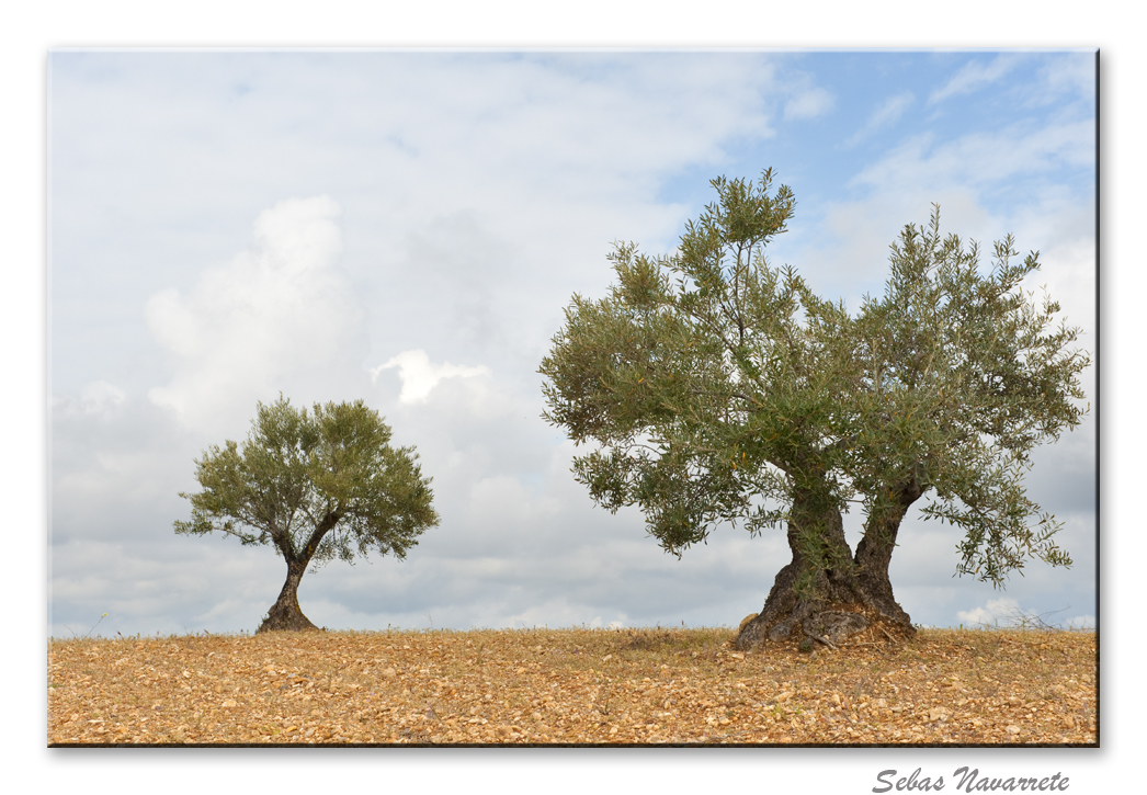 Instantes, fotos de Sebastián Navarrete: Los Terratenientes