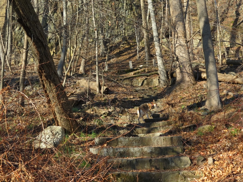 Gone Hikin': Garret Mountain Reservation, NJ and Paterson Great Falls