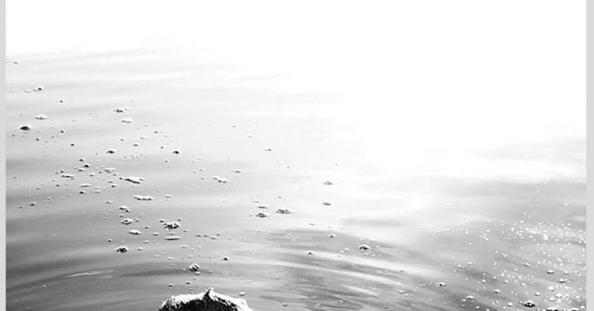 Swimmer. Lynne Ramsay