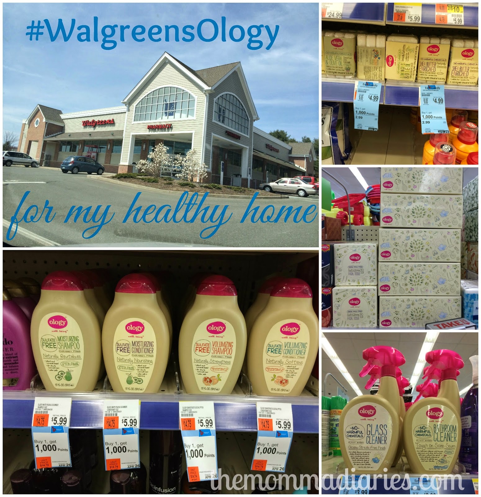 #WalgreensOlogy For My Healthy Home - The Momma Diaries