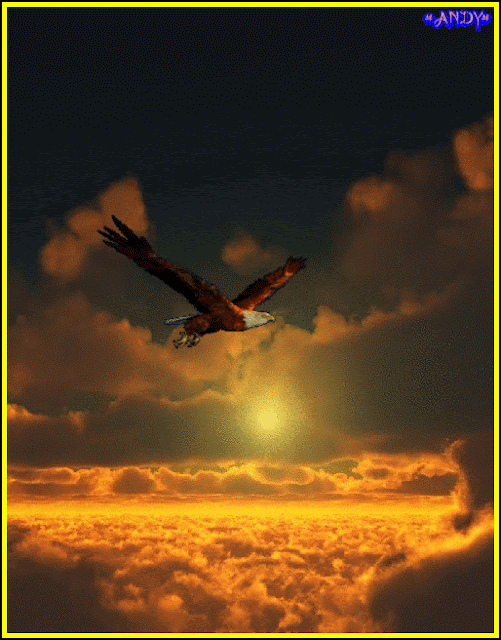 Gif animados andy: Gif animado de un águila volando