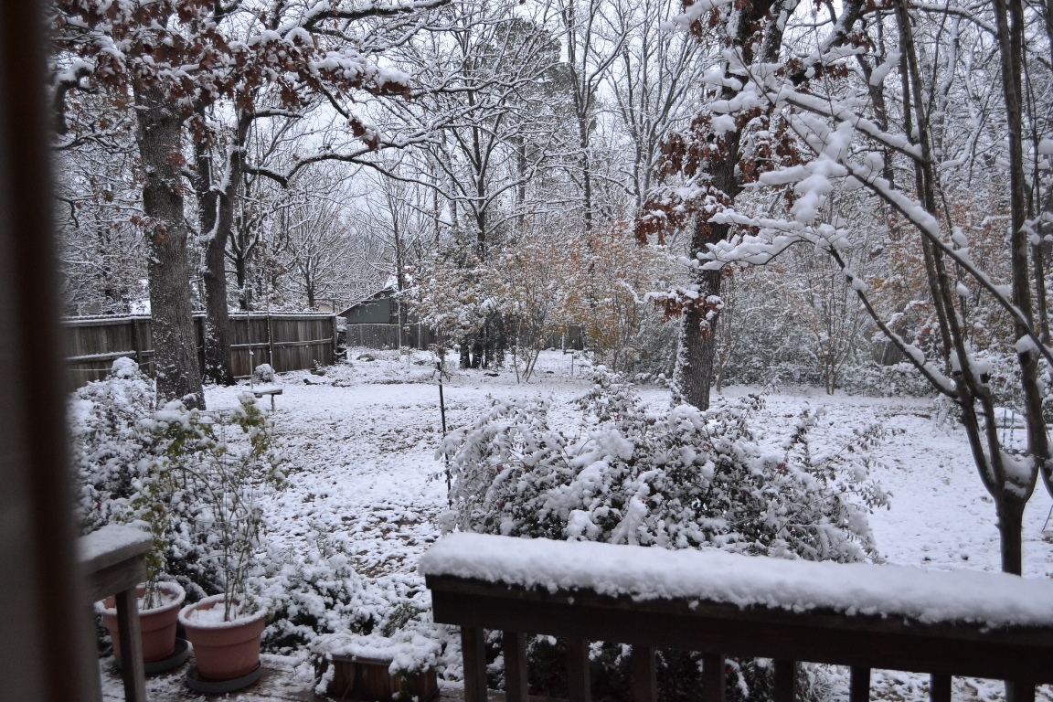 An Archivist's Miscellania: January 2012