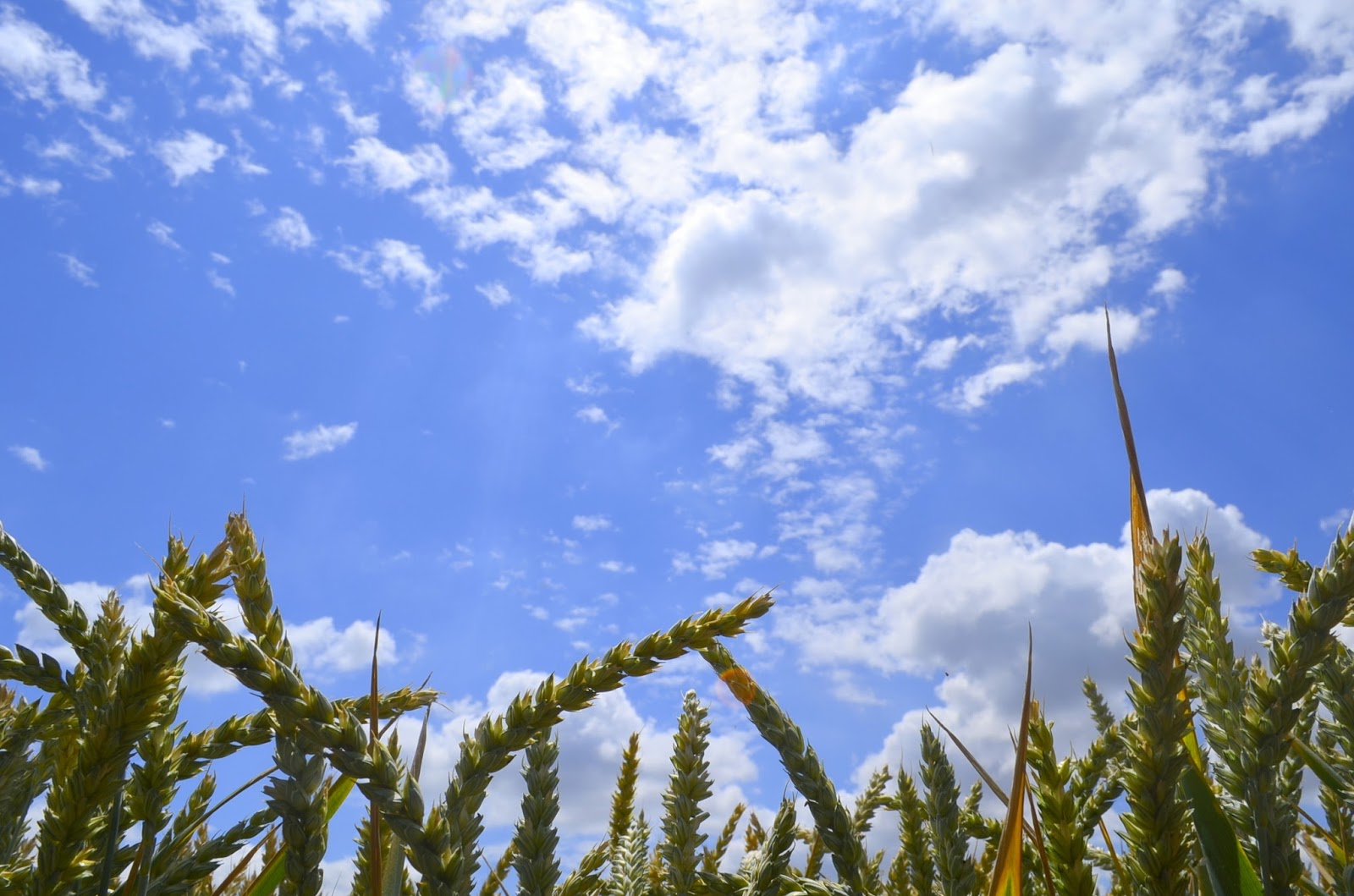 МОМЕНТЫ: небо голубое