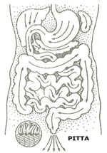 Ayurveda_heals: Ayurveda's Panchakrma Therapy: