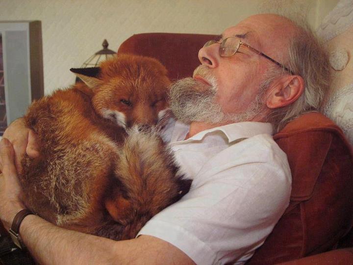A very compassionate man and a loving fox !!! | OSMEB