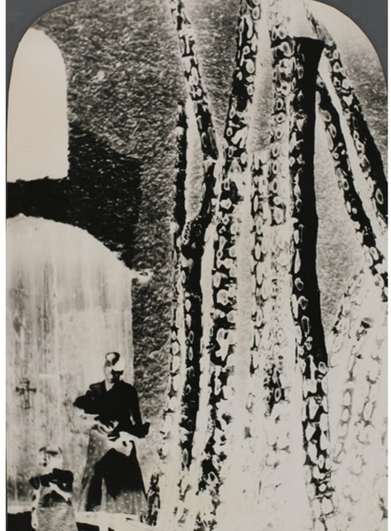 Los Grandes Fotografos: Franz Roh (1890-1965)