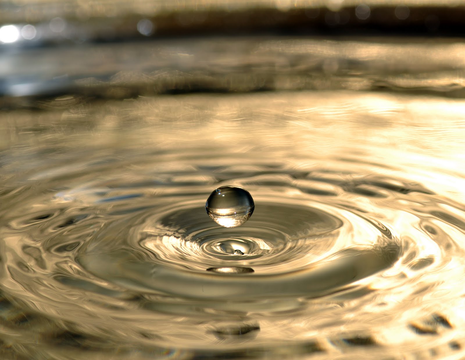 Cheekyangels photography: Step by Step picture tutorial - How to ...