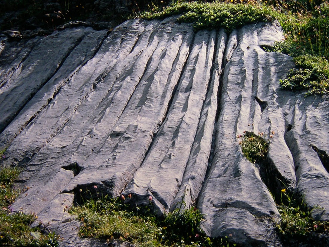 CURIOSIDADES CIENTÍFICAS : Lenares o Lapiaces