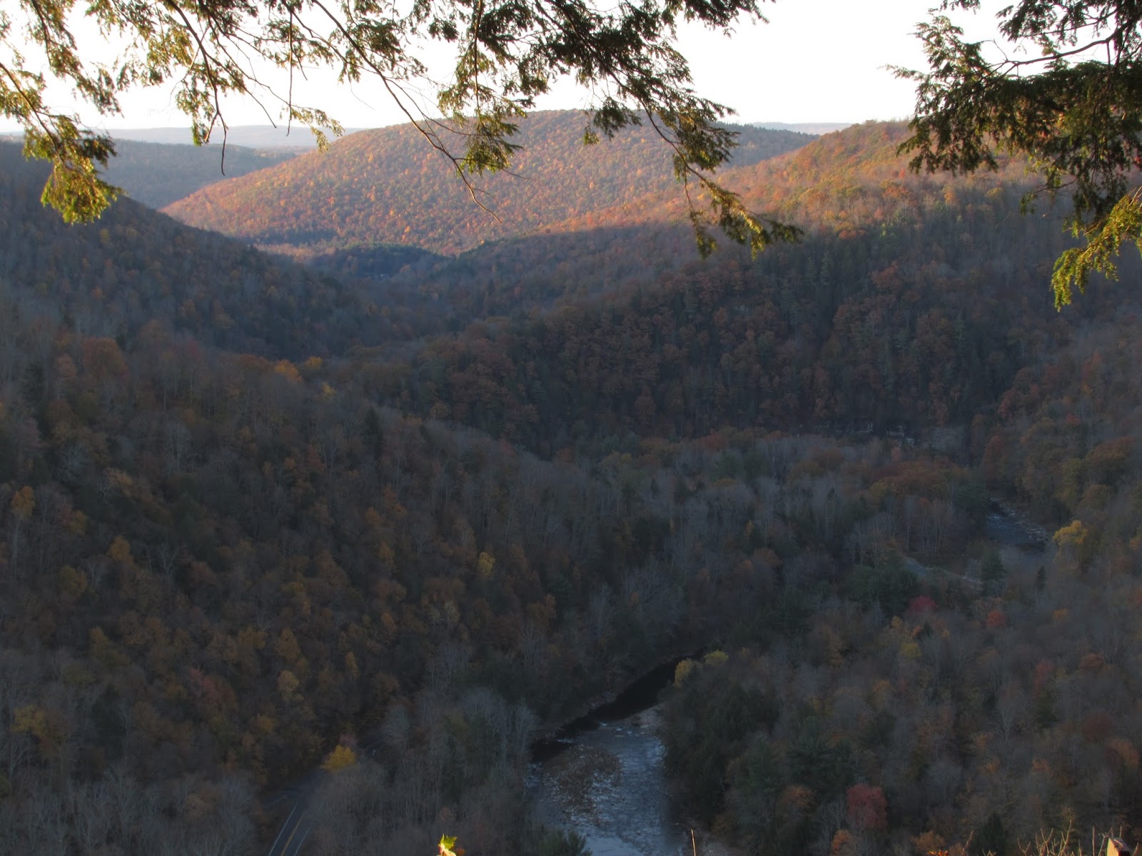 Loyalsock Canyon Vista, Worlds End State Park, Sullivan County, PA ...