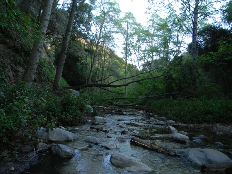 My Own 100 Hikes: Hike 2012.021 -- Sturtevant Falls