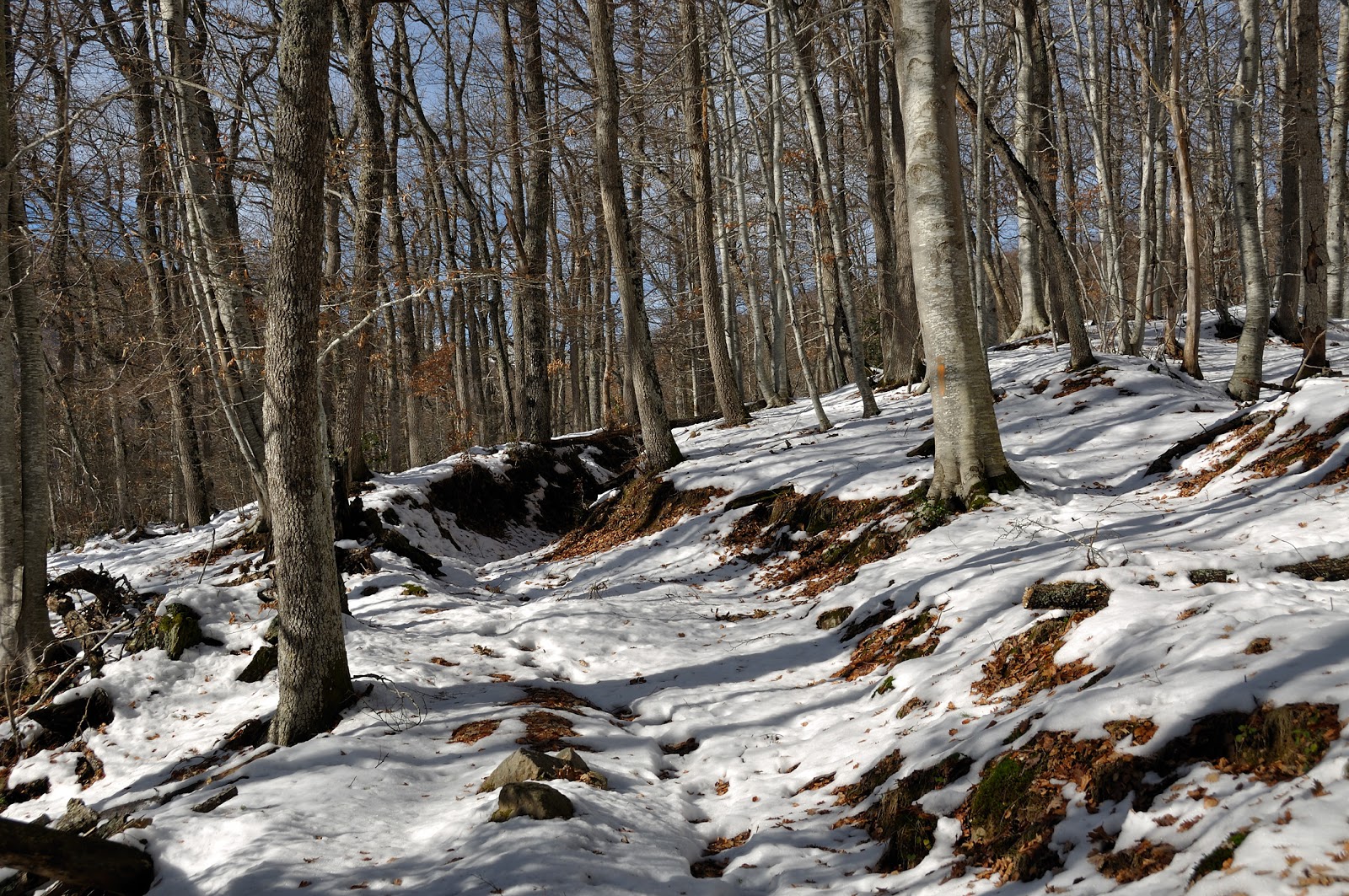 Chirigol de ideas: Nieva de Cameros (II)