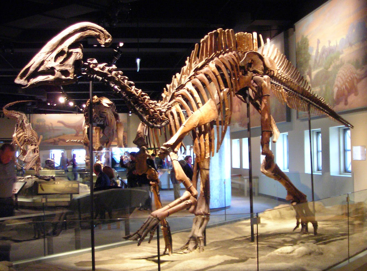 Prehistoric Beast of the Week: Parasaurolophus: Beast of the Week
