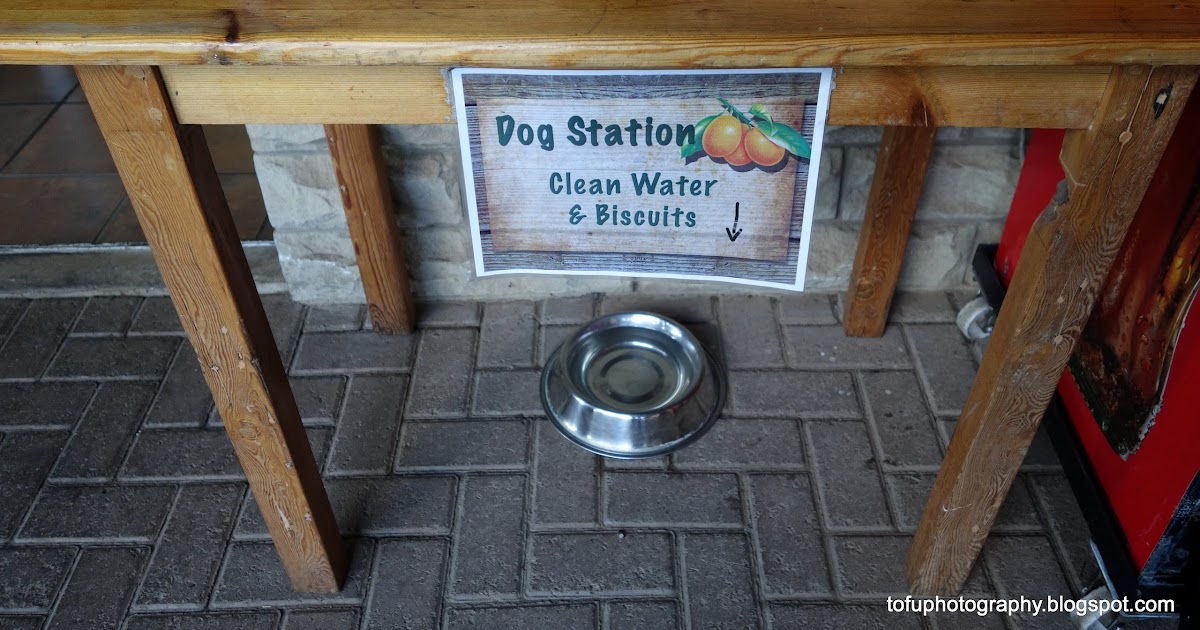 Tofu Photography: Dog station clean water and biscuits sign outside a ...