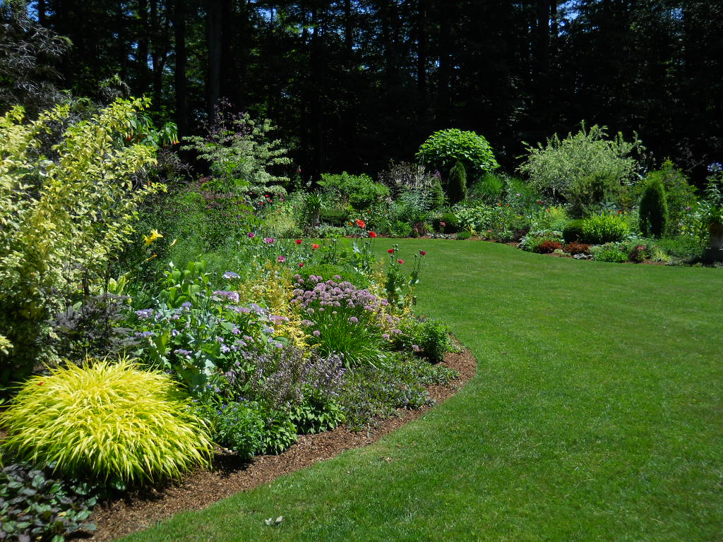 Anemone Times: The Gardens of Maude and John Odgers