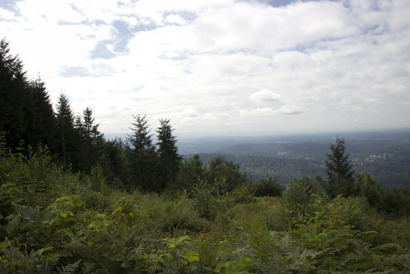 Loving Washington State: Poo Poo Point Trail