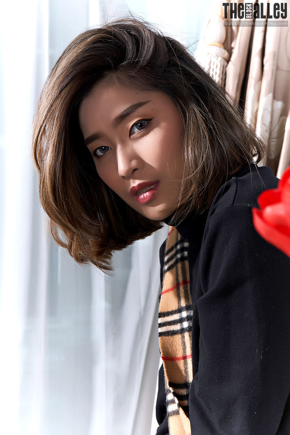 [The Black Alley] Apple Set 50