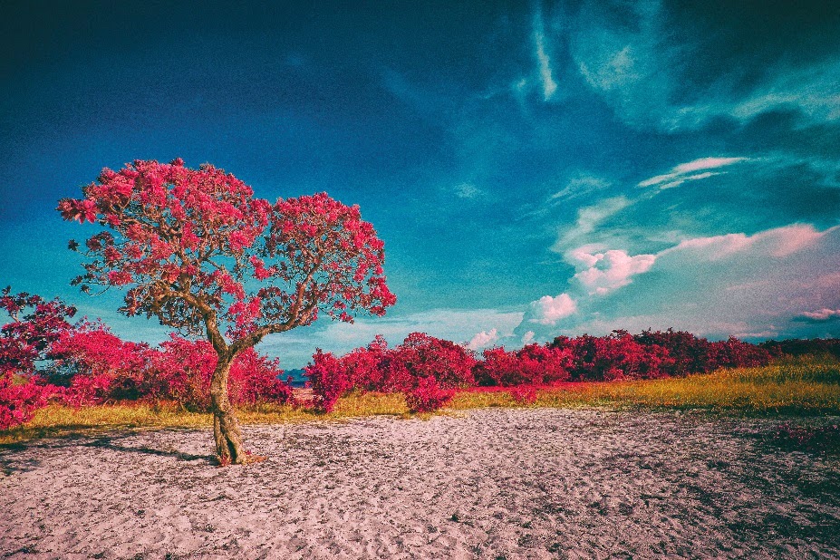 Camarines Sur’s 7 Beautiful Places At Its Best | Blogs, Travel Guides ...