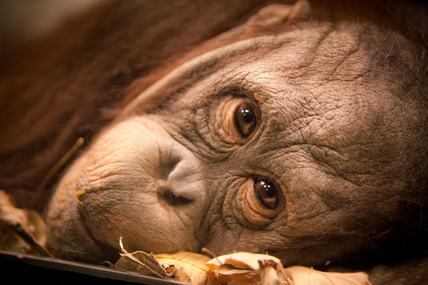 Beautiful World : Today's Collection of the Most Amazing and Funny Pics