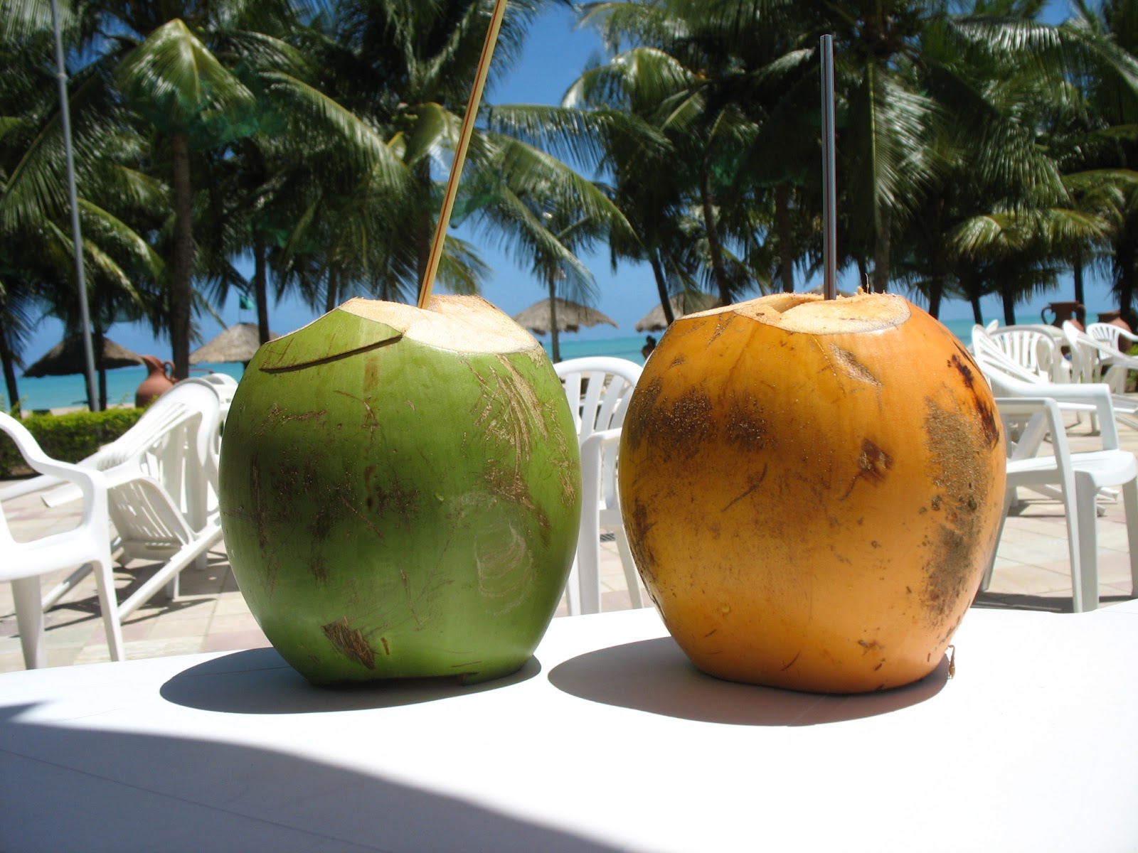 Punto Dos Puntos y Coma: ¿Puede el coco formar parte de la dieta de un ...