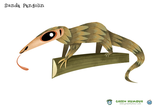 Green Humour: Pangolins of the World