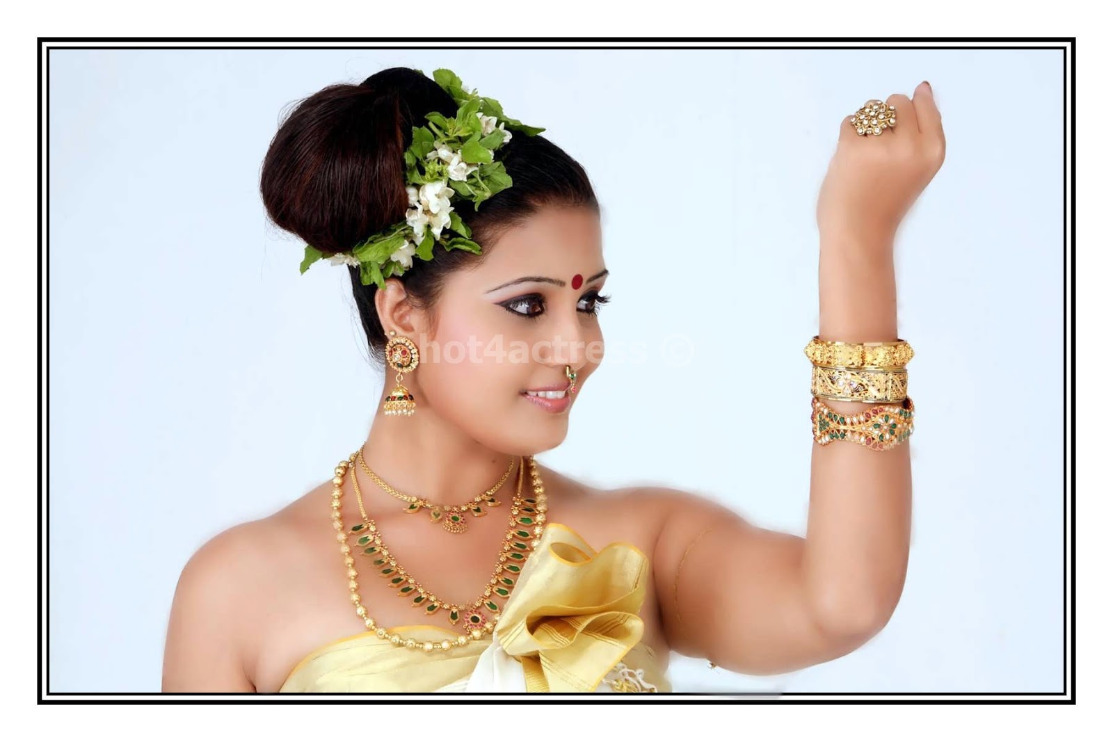 Sandra Jose Saree Navel