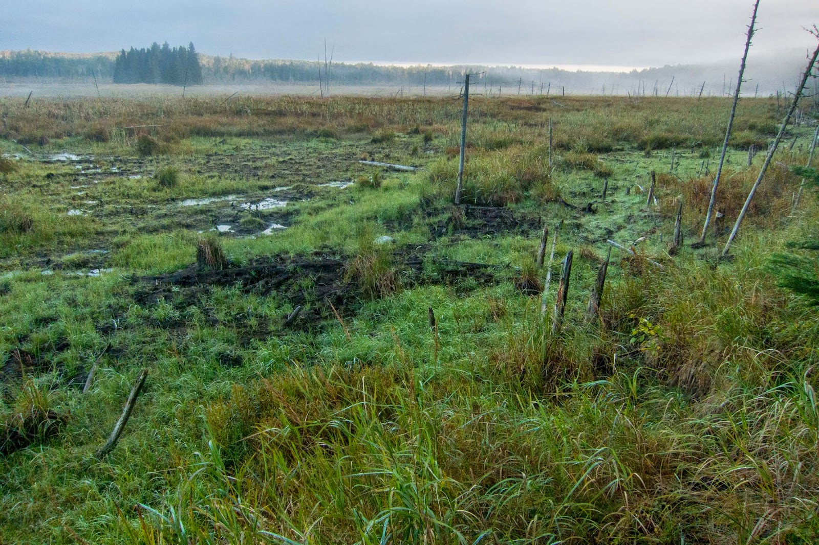 Eric's Hikes: Superior Hiking Trail: Grand Marais to 270 Degree Overlook