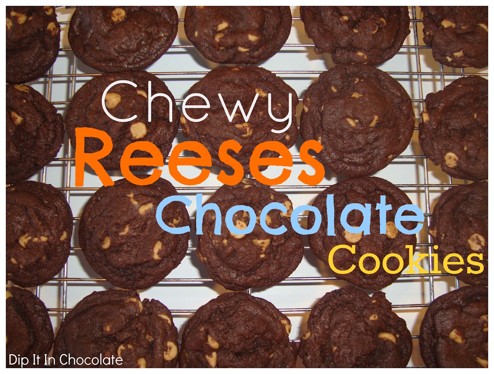 Chewy Reeses Chocolate Cookies ~ Dip it in Chocolate
