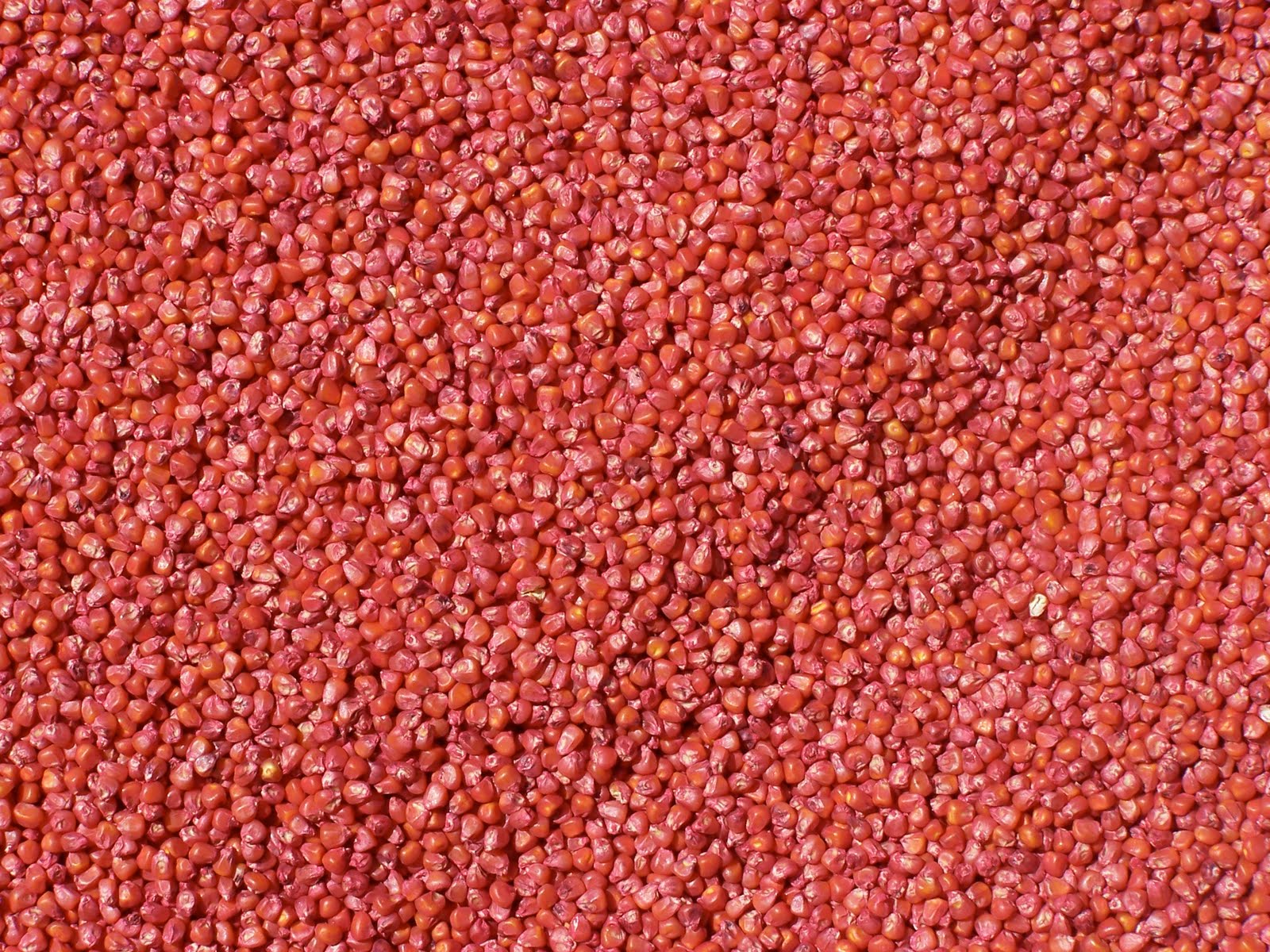 Seed Treatments: 2015