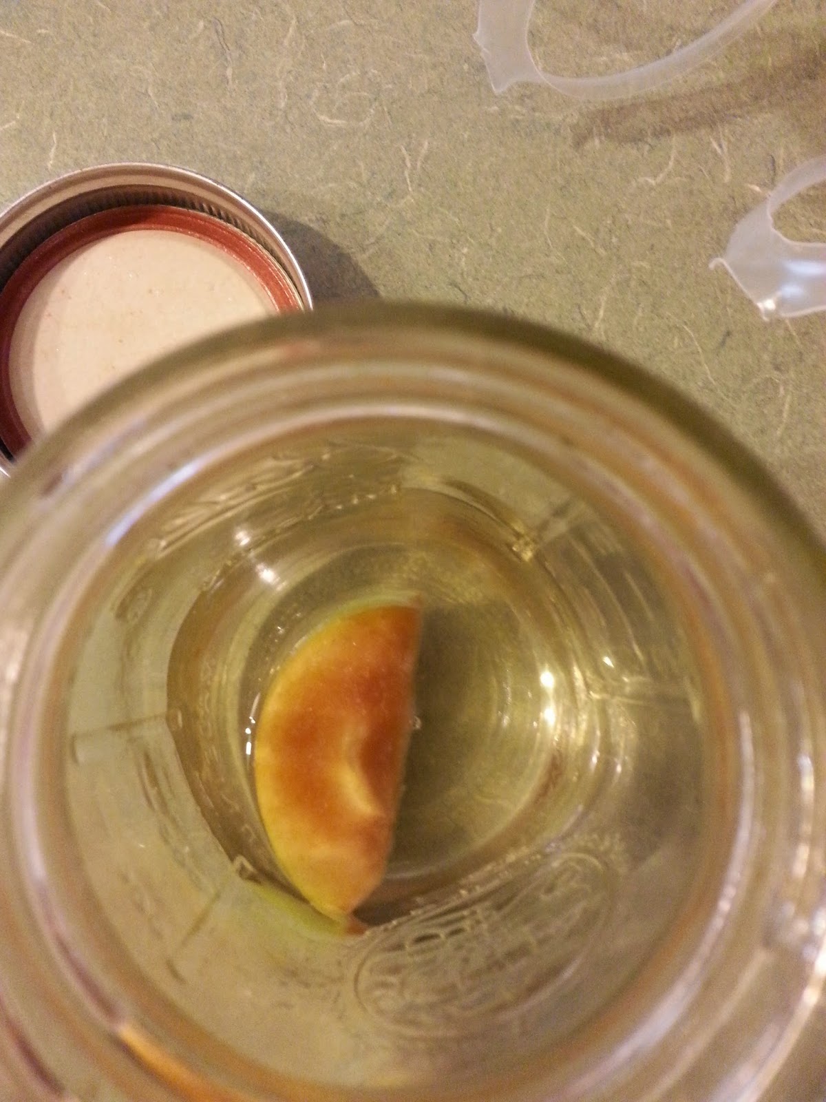 The Cool Science Dad: The Rotting Apple Experiment Results