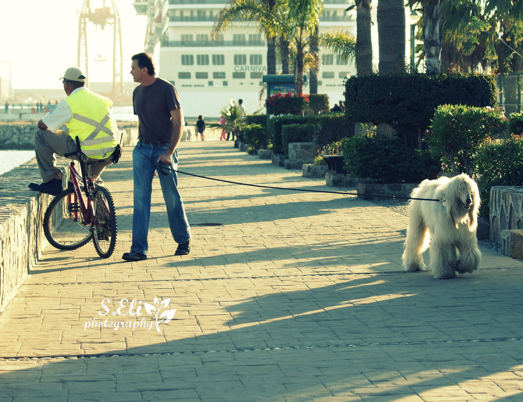 Elizabeth's Secrets: Su nombre es, Kiko.